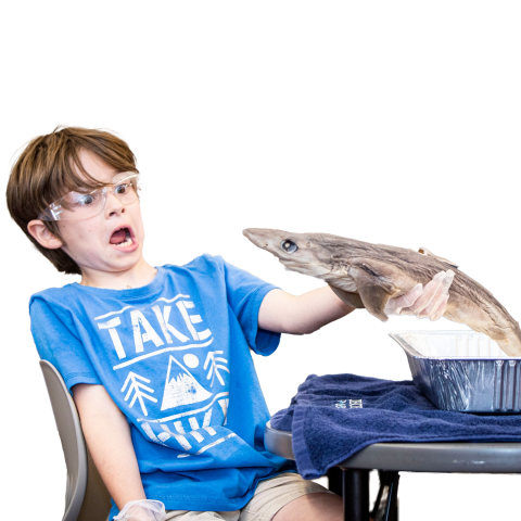 Contact Us | Science Explorers