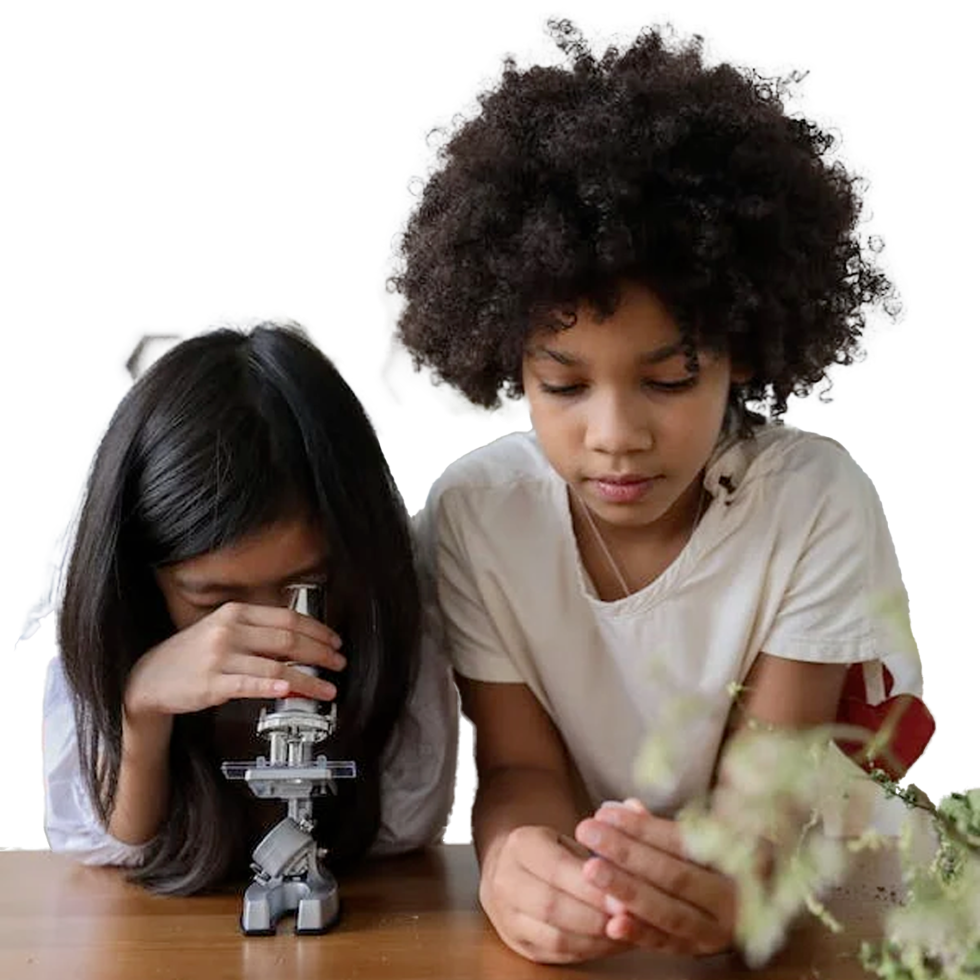 STEM Camp Programs | Science Explorers