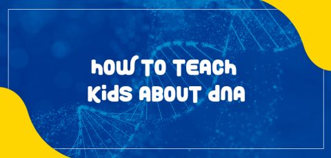Engaging DNA Science Activity for Kids | Science Explorers